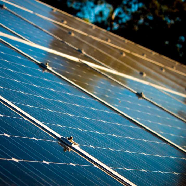 Sustainability | Cheyenne Botanic Gardens